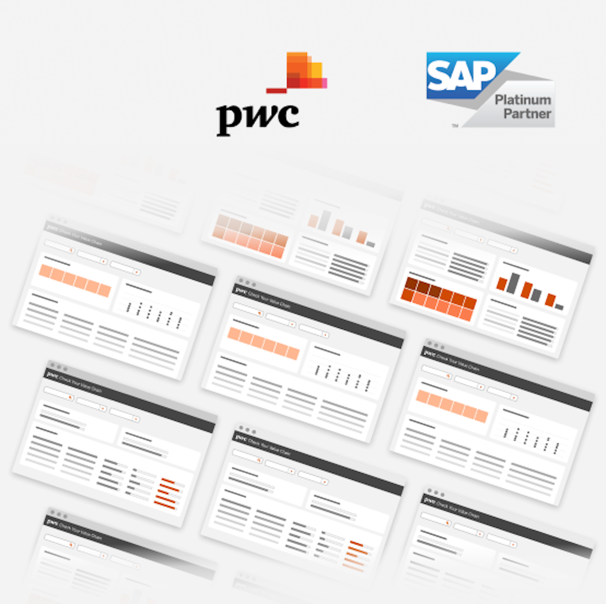 LkSG/CSDDD umsetzen – Check Your Value Chain - PwC Store